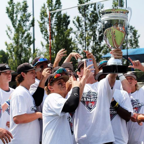 Homepage - Team Elite